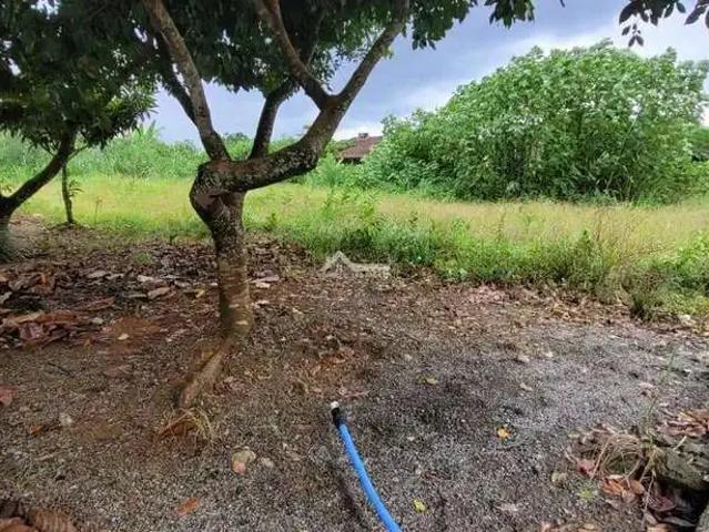 Terreno / Lote para Venda em Schroeder/SC Bracinho