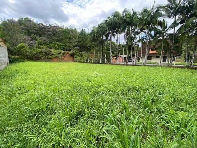 Terreno / Lote para Venda em Schroeder/SC Centro