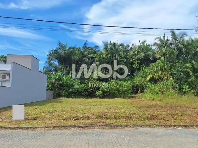 Terreno / Lote para Venda em Schroeder/SC Centro