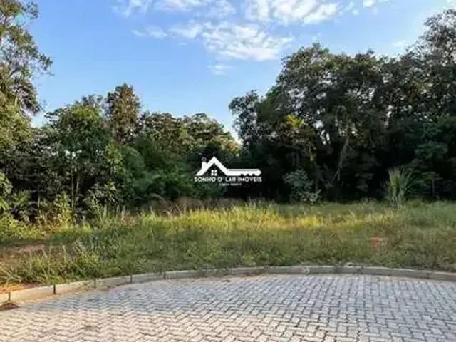 Terreno / Lote para Venda em Schroeder/SC Centro