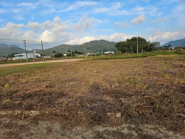 Terreno / Lote para Venda em Schroeder/SC Centro