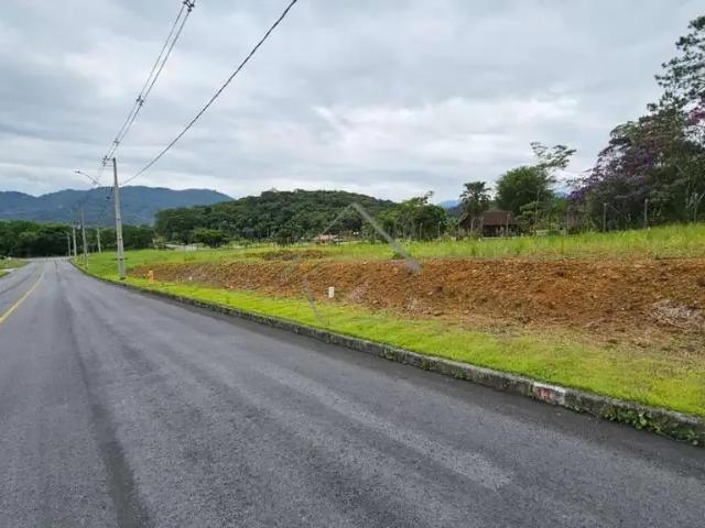 Terreno / Lote para Venda em Schroeder/SC Centro