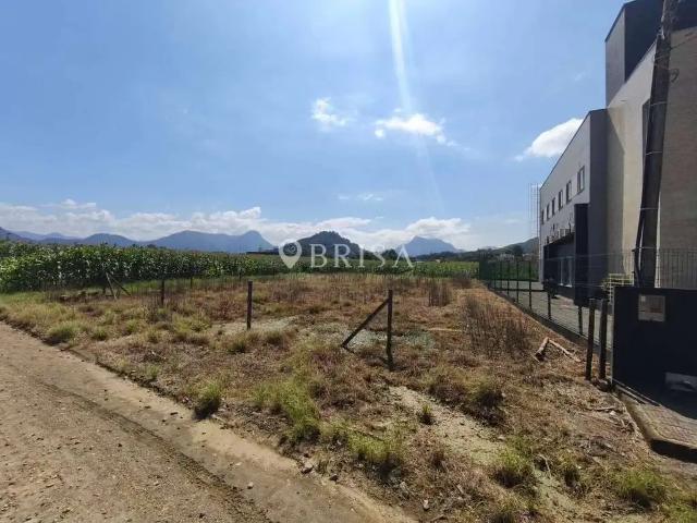 Terreno / Lote para Venda em Schroeder/SC Centro