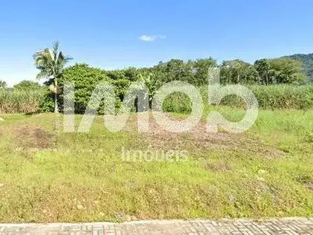Terreno / Lote para Venda em Schroeder/SC Centro