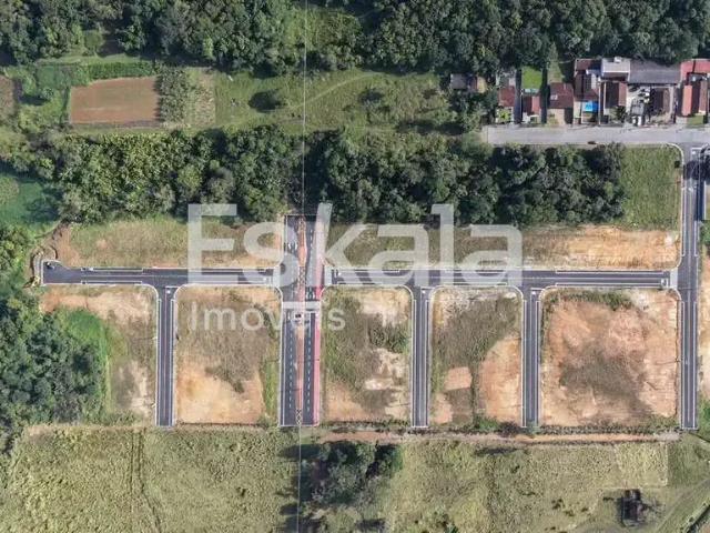 Terreno / Lote para Venda em Schroeder/SC Centro Norte