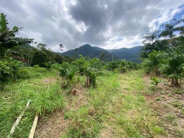 Terreno / Lote para Venda em Schroeder/SC Duas Mamas