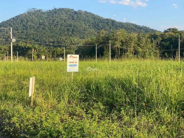 Terreno / Lote para Venda em Schroeder/SC Rio Hern