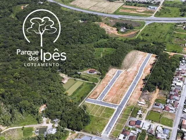 Terreno / Lote para Venda em Schroeder/SC Schroeder I