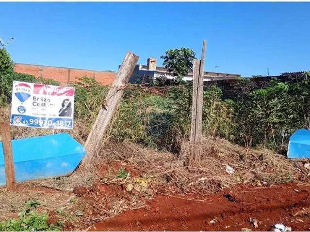 Terreno / Lote para Venda em Santa Tereza do Oeste/PR Centro