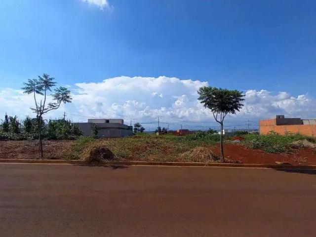 Terreno / Lote para Venda em Santa Bárbara D'Oeste/SP Dodson