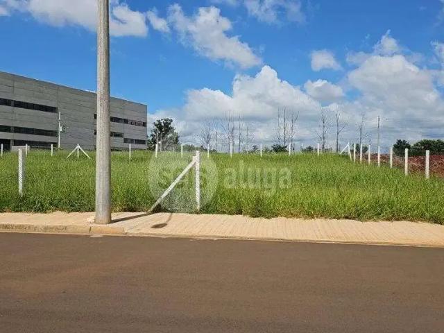 Terreno / Lote para Venda em Santa Bárbara D'Oeste/SP Dodson