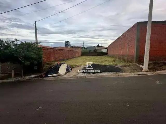 Terreno / Lote para Venda em Santa Bárbara D'Oeste/SP Jardim Vista Alegre