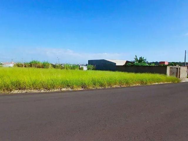 Terreno / Lote para Venda em Santa Bárbara D'Oeste/SP Jardim Vista Alegre