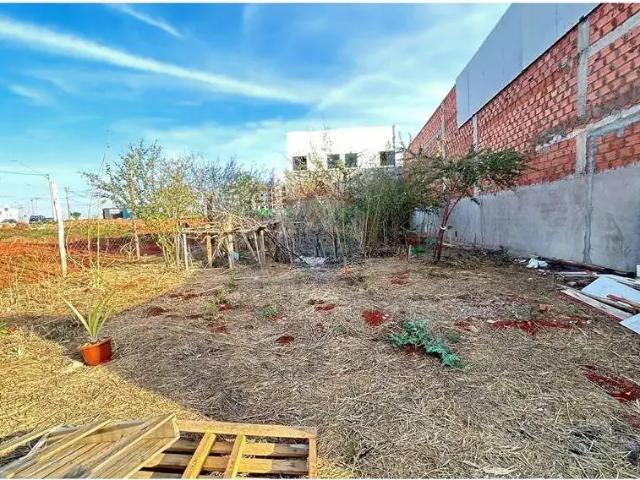 Terreno / Lote para Venda em Santa Bárbara D'Oeste/SP Jardim Alphacenter