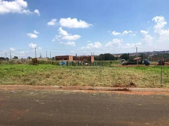 Terreno / Lote para Venda em Santa Bárbara D'Oeste/SP Jardim Aranha Oliveira