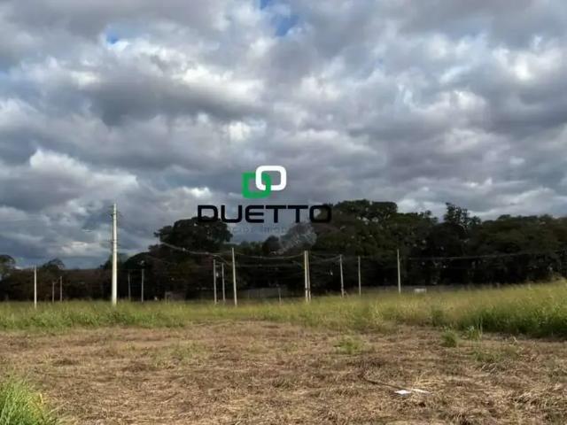 Terreno / Lote para Venda em Santa Bárbara D'Oeste/SP Jardim dos Cedros