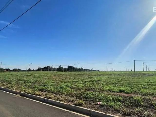Terreno / Lote para Venda em Santa Bárbara D'Oeste/SP Jardim dos Cedros
