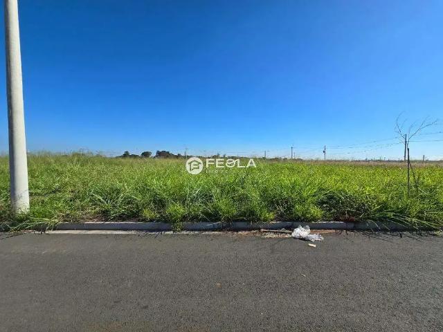 Terreno / Lote para Venda em Santa Bárbara D'Oeste/SP Jardim dos Cedros