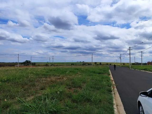 Terreno / Lote para Venda em Santa Bárbara D'Oeste/SP Jardim dos Cedros