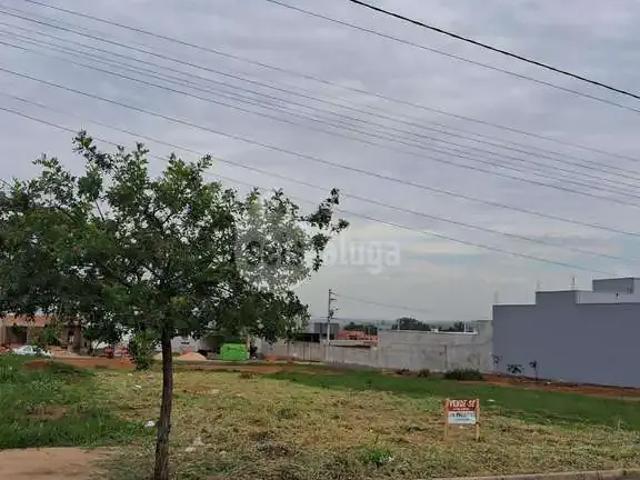 Terreno / Lote para Venda em Santa Bárbara D'Oeste/SP Jardim dos Manacás