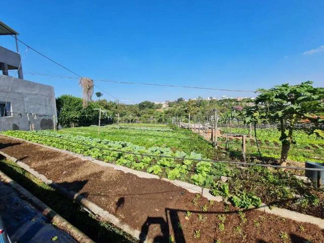 Terreno / Lote para Venda em Santa Bárbara D'Oeste/SP Jardim Europa I