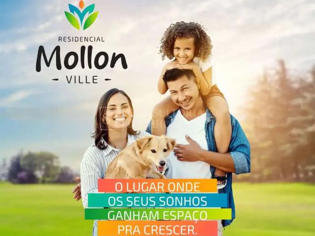 Terreno / Lote para Venda em Santa Bárbara D'Oeste/SP Jardim Fernando Mollon