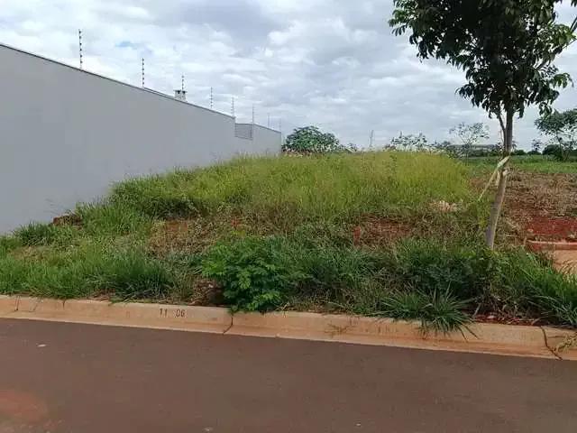 Terreno / Lote para Venda em Santa Bárbara D'Oeste/SP Jardim Itapuã
