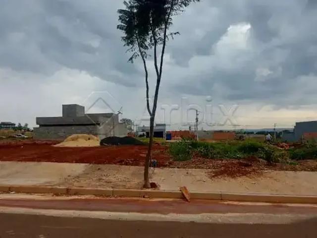 Terreno / Lote para Venda em Santa Bárbara D'Oeste/SP Jardim Itapuã