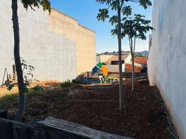 Terreno / Lote para Venda em Santa Bárbara D'Oeste/SP Jardim São Camilo