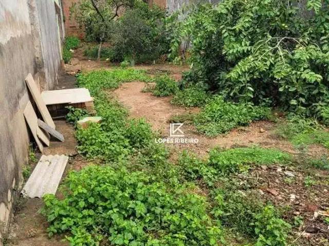 Terreno / Lote para Venda em Santa Bárbara D'Oeste/SP Jardim Santa Luzia