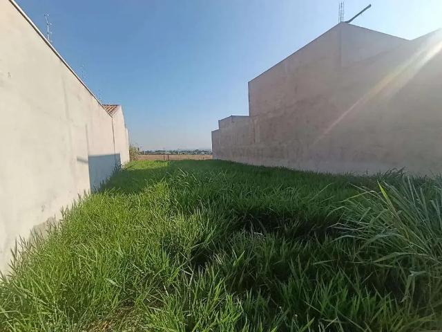 Terreno / Lote para Venda em Santa Bárbara D'Oeste/SP Jardim Souza Queiroz