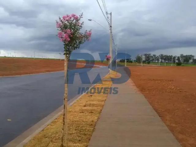 Terreno / Lote para Venda em Santa Bárbara D'Oeste/SP Parque Planalto