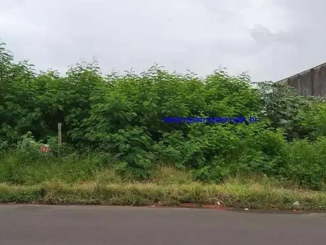 Terreno / Lote para Venda em Santa Bárbara D'Oeste/SP Planalto do Sol II