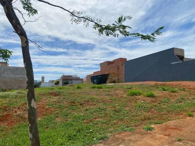 Terreno / Lote para Venda em Santa Bárbara D'Oeste/SP Reserva Centenária