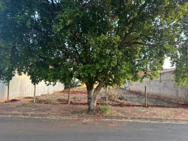 Terreno / Lote para Venda em Santa Bárbara D'Oeste/SP Residencial Furlan