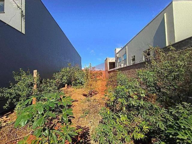 Terreno / Lote para Venda em Santa Bárbara D'Oeste/SP Terrazul SM