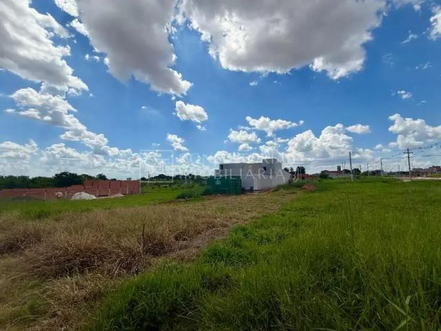 Terreno / Lote para Venda em Santa Bárbara D'Oeste/SP Vila Pantano