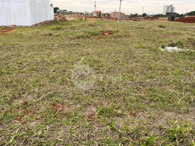 Terreno / Lote para Venda em Santa Bárbara D'Oeste/SP Vila Pântano II