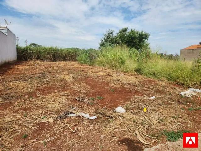Terreno / Lote para Venda em Santa Bárbara D'Oeste/SP Vila Romi
