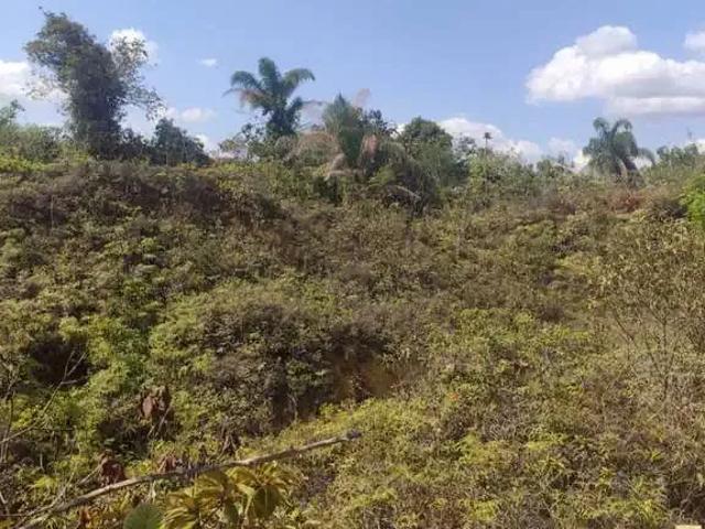 Terreno / Lote para Venda em Santa Bárbara/MG Zona Rural 1 Quartos