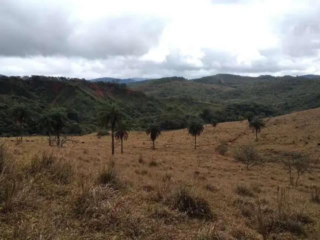 Terreno / Lote para Venda em Santa Bárbara/MG Zona Rural 1 Quartos