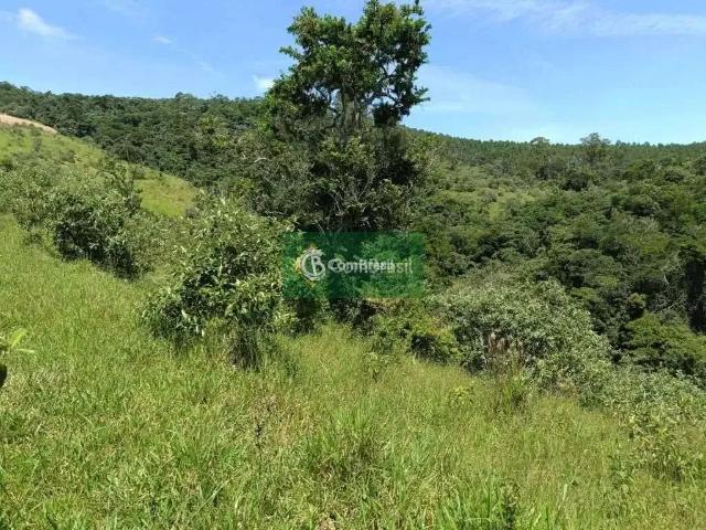 Terreno / Lote para Venda em Santa Branca/SP Centro