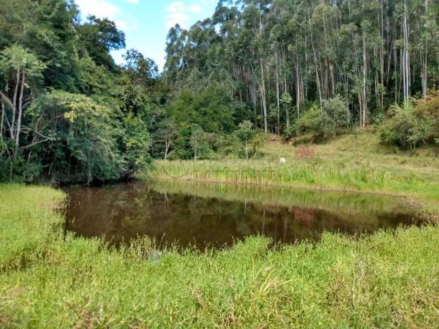 Terreno / Lote para Venda em Santa Branca/SP Centro
