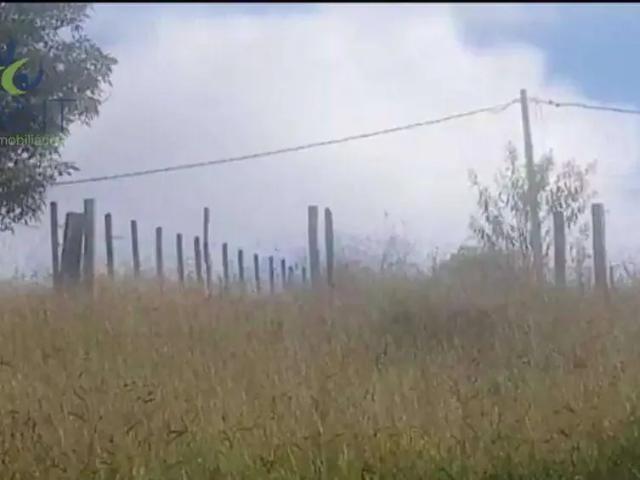 Terreno / Lote para Venda em Santa Branca/SP Centro