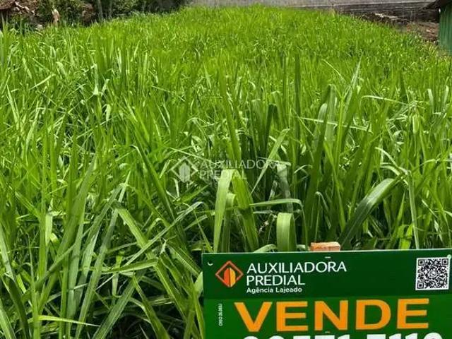 Terreno / Lote para Venda em Santa Clara do Sul/RS Centro