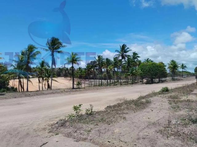Terreno / Lote para Venda em Santa Cruz Cabrália/BA Coroa Vermelha