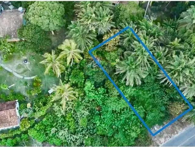 Terreno / Lote para Venda em Santa Cruz Cabrália/BA Santo André