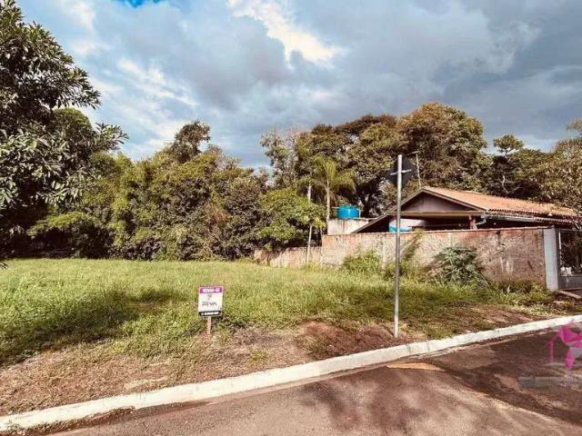 Terreno / Lote para Venda em Santa Cruz da Conceição/SP Centro