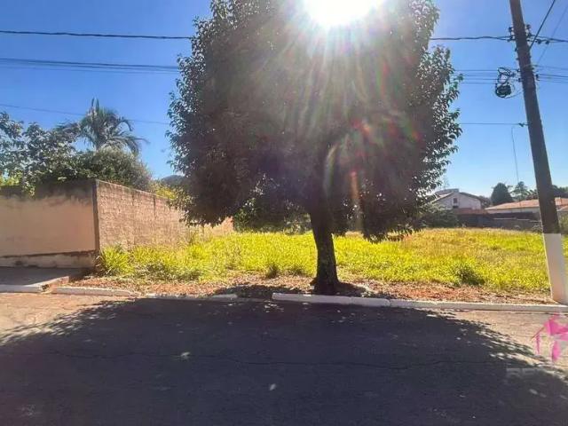 Terreno / Lote para Venda em Santa Cruz da Conceição/SP Centro