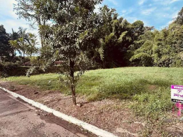 Terreno / Lote para Venda em Santa Cruz da Conceição/SP Centro